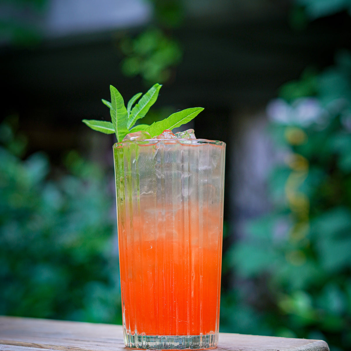 Verveine Underground – Ubald Distillerie